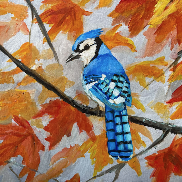 Keep It Colourful with Jesse Robertson